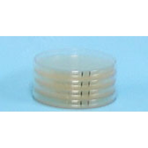 LB (Miller) Agar Plate + 100ug/ml Ampicillin, 100mm x 25ml - Biopioneer