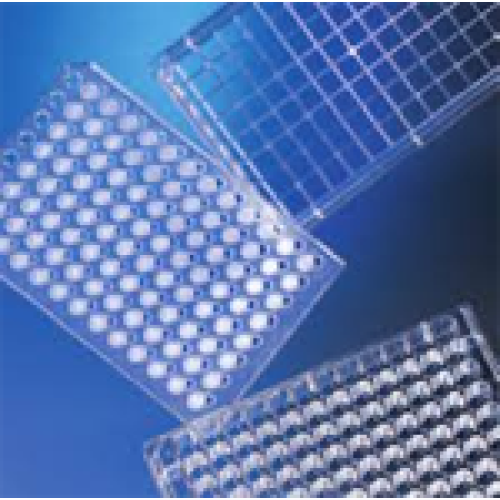 Cell Migration Assay 96-well, 3um - Biopioneer