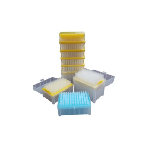 Precision 10ul Barrier Tips - Biopioneer