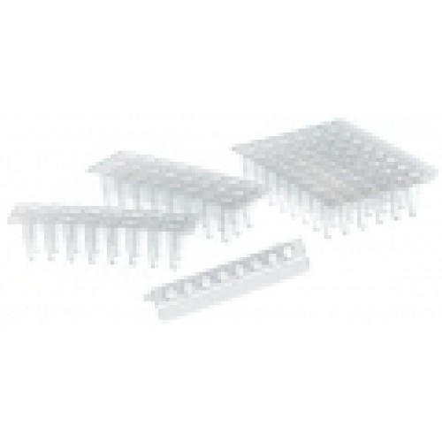 DH5alpha Super Competent Cells, 96-well plate (25ulx96) - Biopioneer