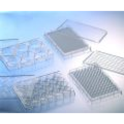 Collagen I Coated, Fluorometric Assay, 96-well - Biopioneer