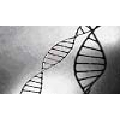 RT Master Mix, 100 reactions with random hexamers - Biopioneer