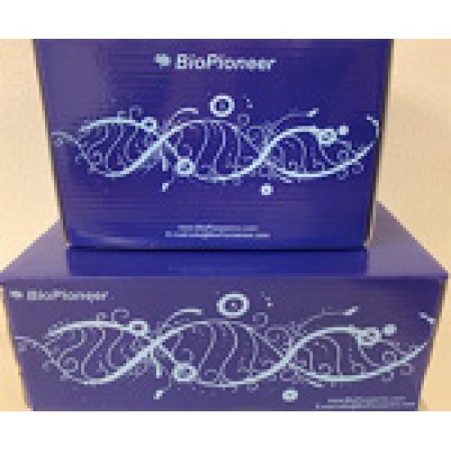 Genomic DNA miniprep kit for bacteria, 100 preps - Biopioneer